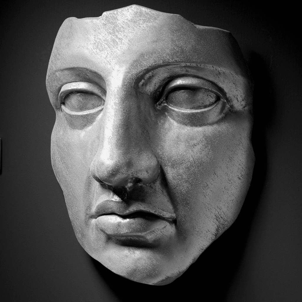 Silver Face Wall Art | Sophisticated Modern Decor | Evolution Fires